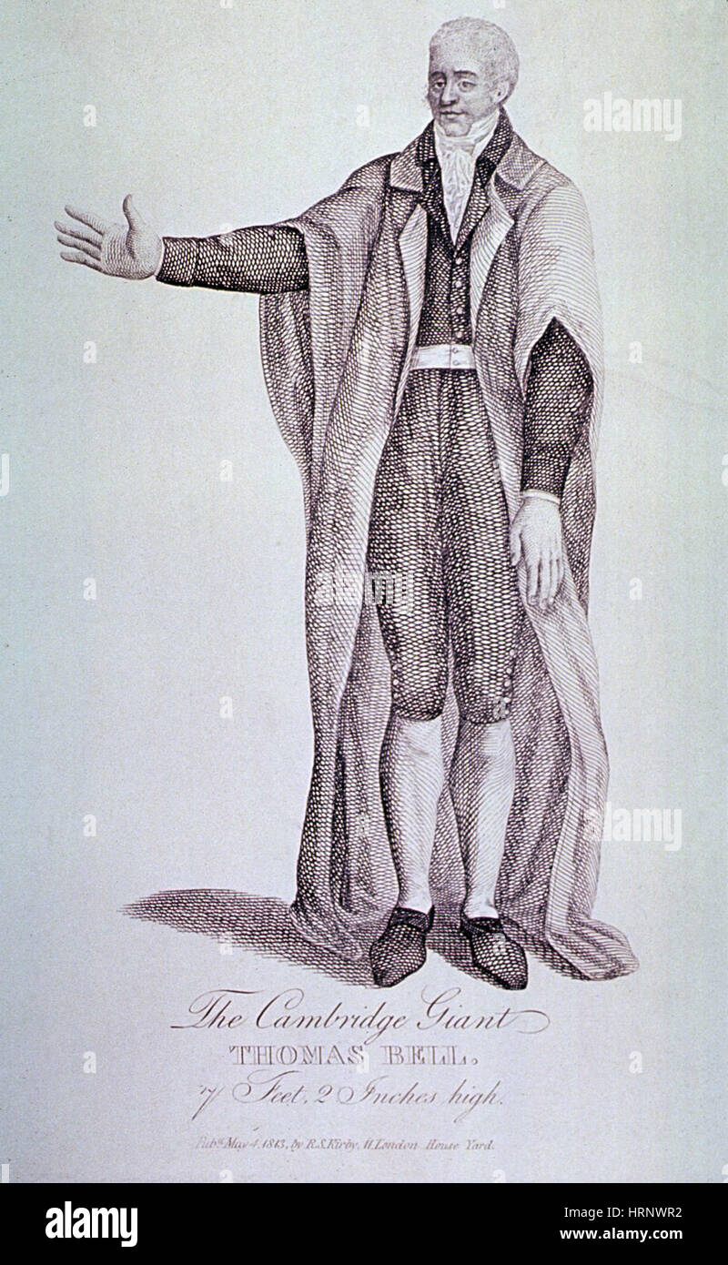 Thomas Bell, Cambridge Giant, 1813 Stock Photo - Alamy