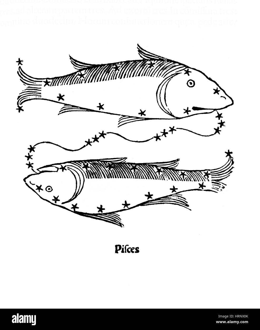 Pisces constellation hi-res stock photography and images - Alamy