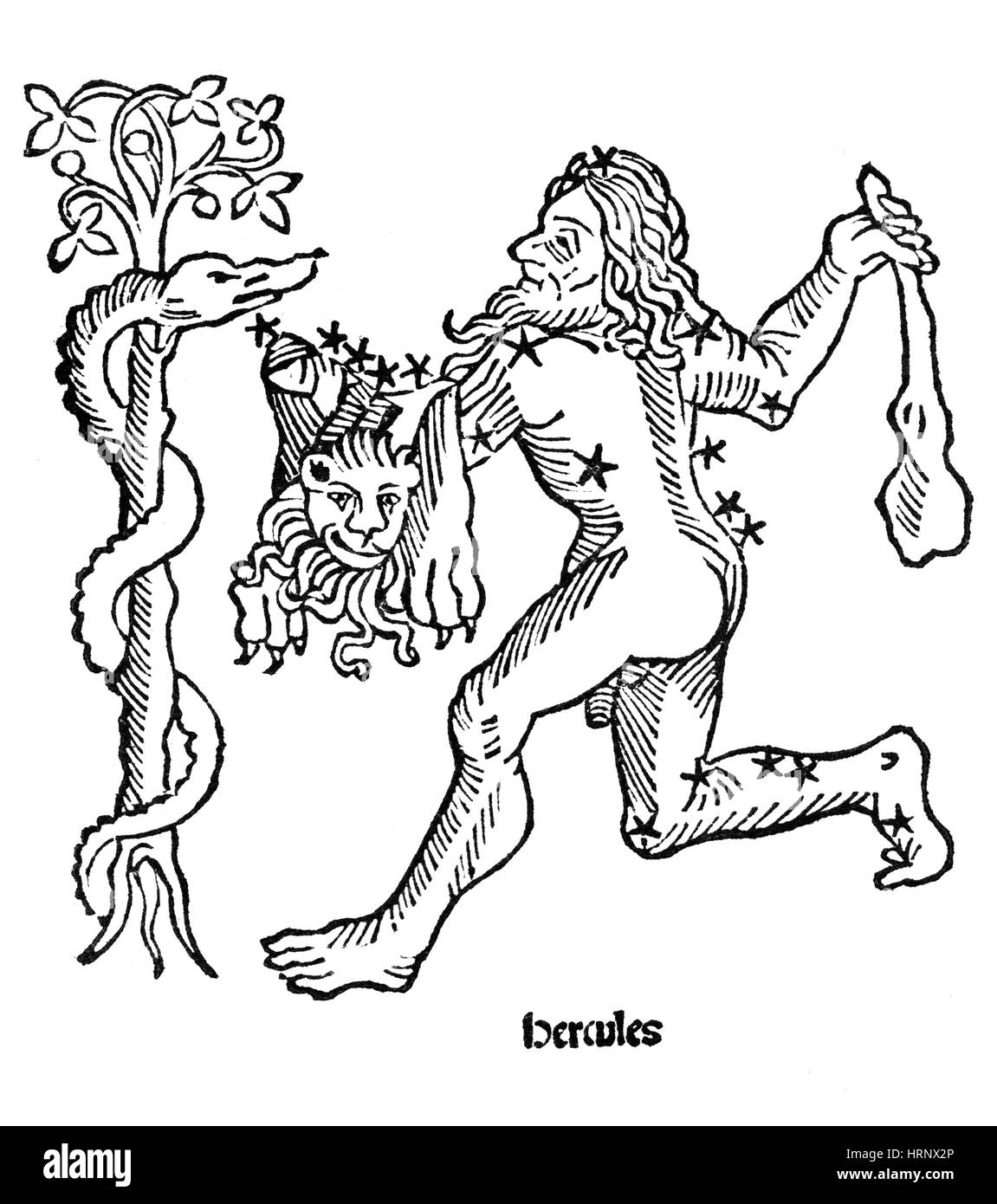 Hercules constellation hi-res stock photography and images - Alamy