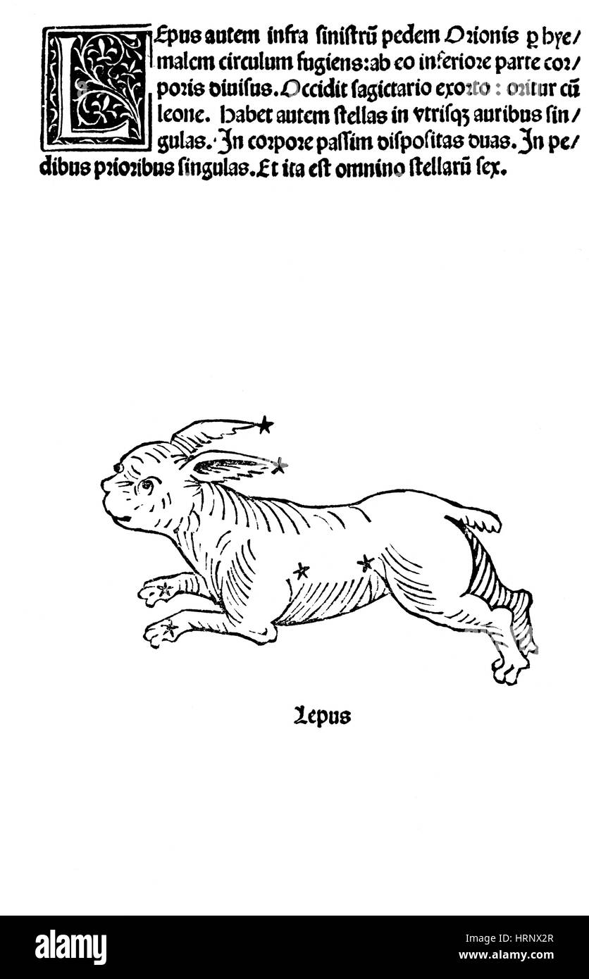 Lepus constellation hi-res stock photography and images - Alamy