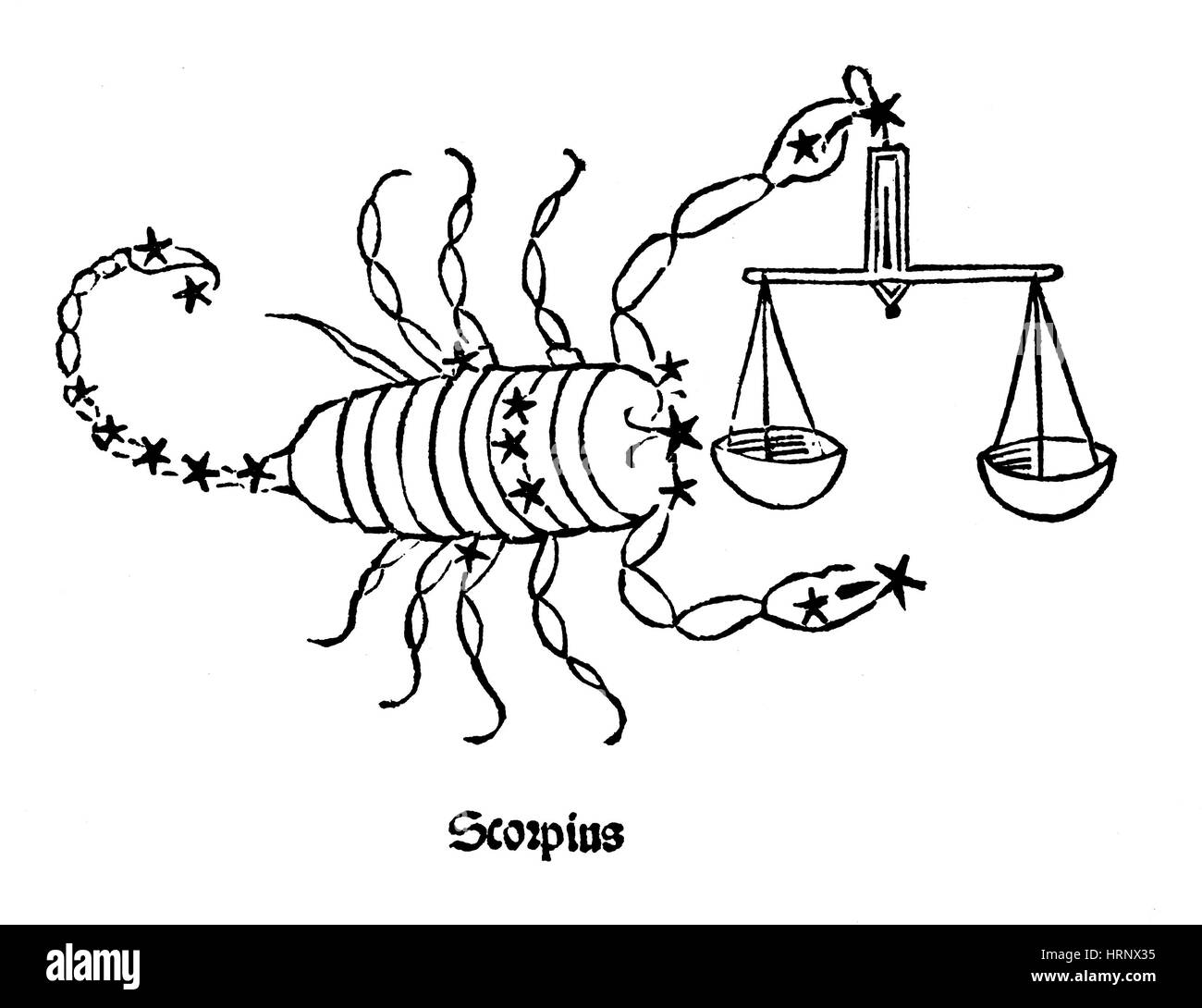 All of scorpius Cut Out Stock Images & Pictures - Alamy