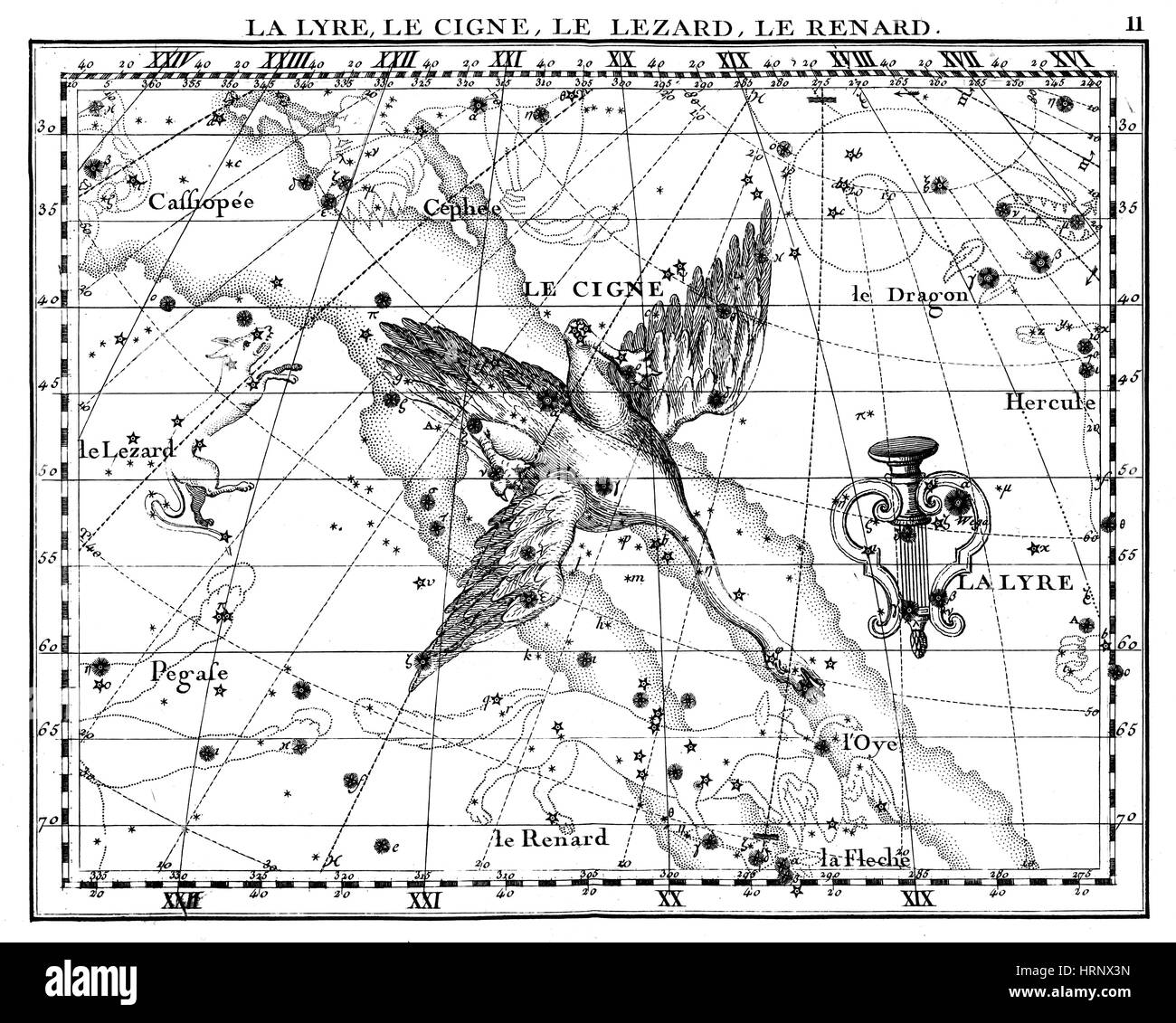 Cygnus constellation map hi-res stock photography and images - Alamy