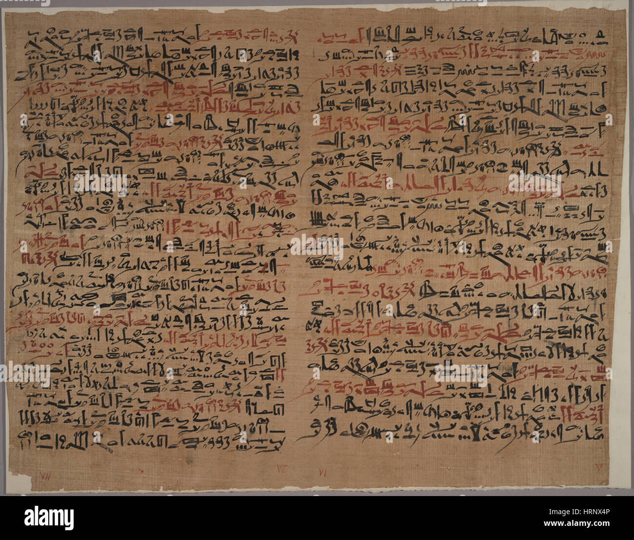 The edwin smith papyrus hi-res stock photography and images - Alamy
