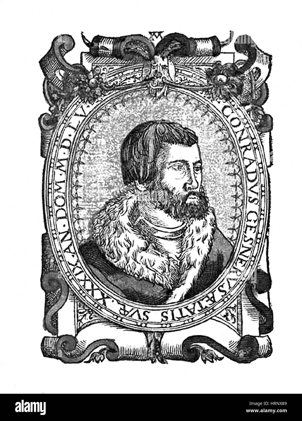 Conrad von gesner hi-res stock photography and images - Alamy