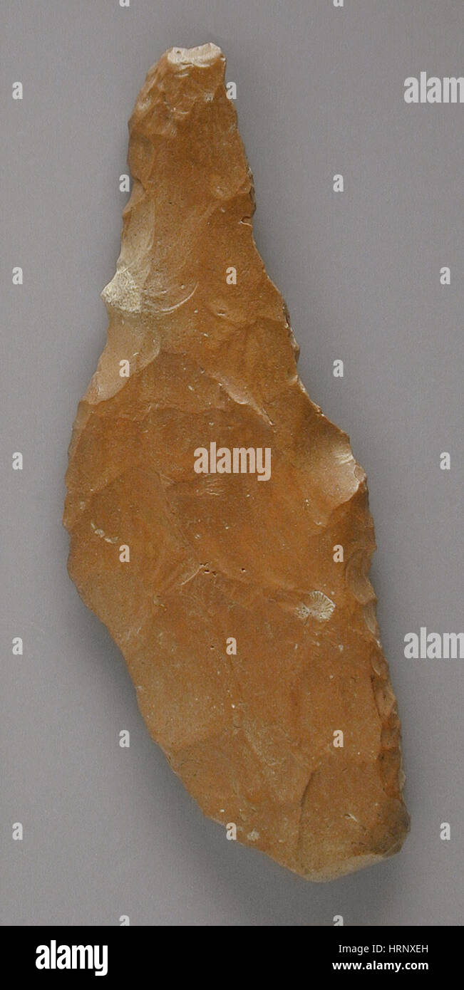 Prehistoric Bifacial Stone Tool Stock Photo - Alamy