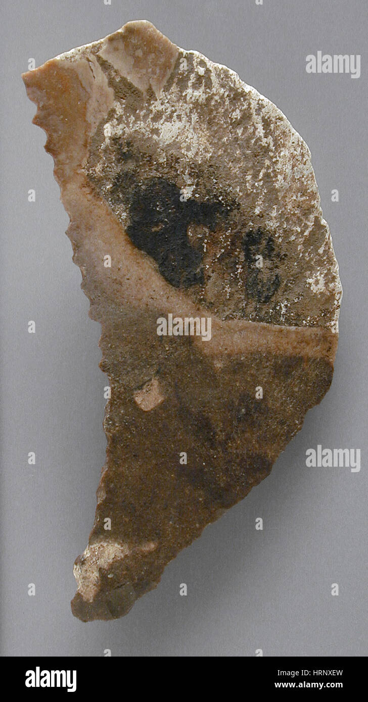 Prehistoric Unifacial Stone Tool Stock Photo - Alamy