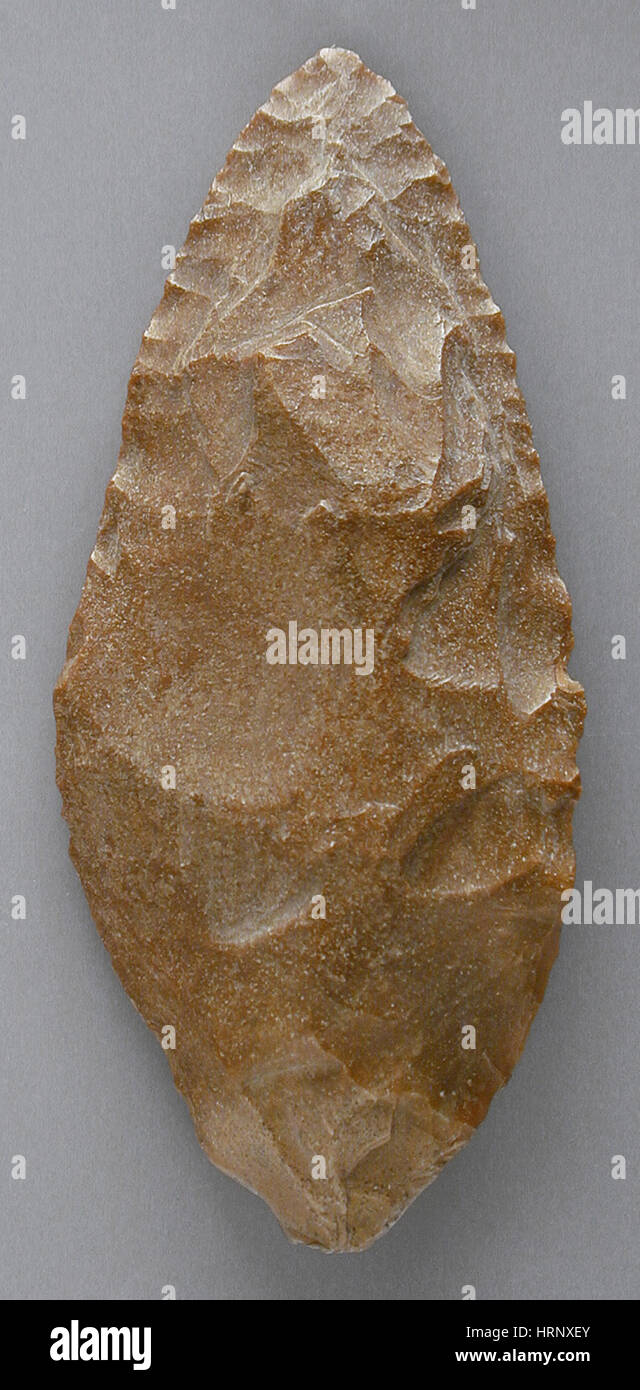 Prehistoric Unifacial Stone Tool Stock Photo - Alamy