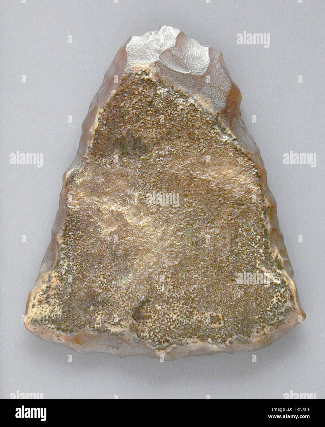 Prehistoric artifact hi-res stock photography and images - Alamy