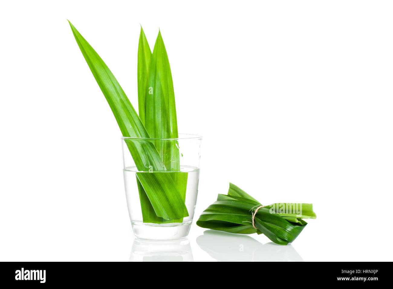 closeup green fresh Pandan leaves, Thai herbal Stock Photo - Alamy