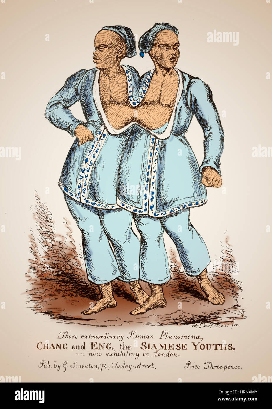 Chang and Eng Bunker, Siamese Twins Stock Photo - Alamy