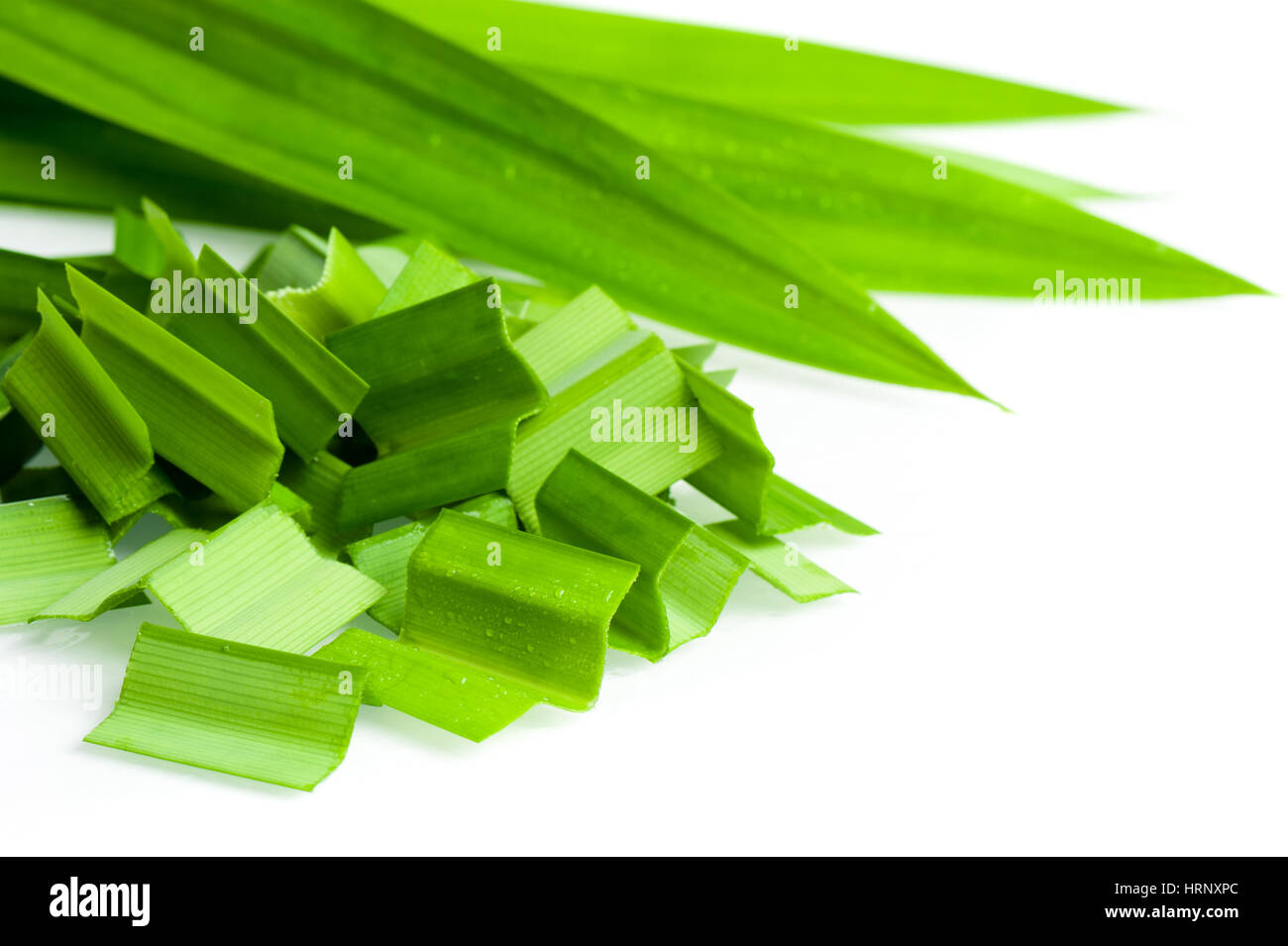 closeup green fresh Pandan leaves, Thai herbal Stock Photo - Alamy