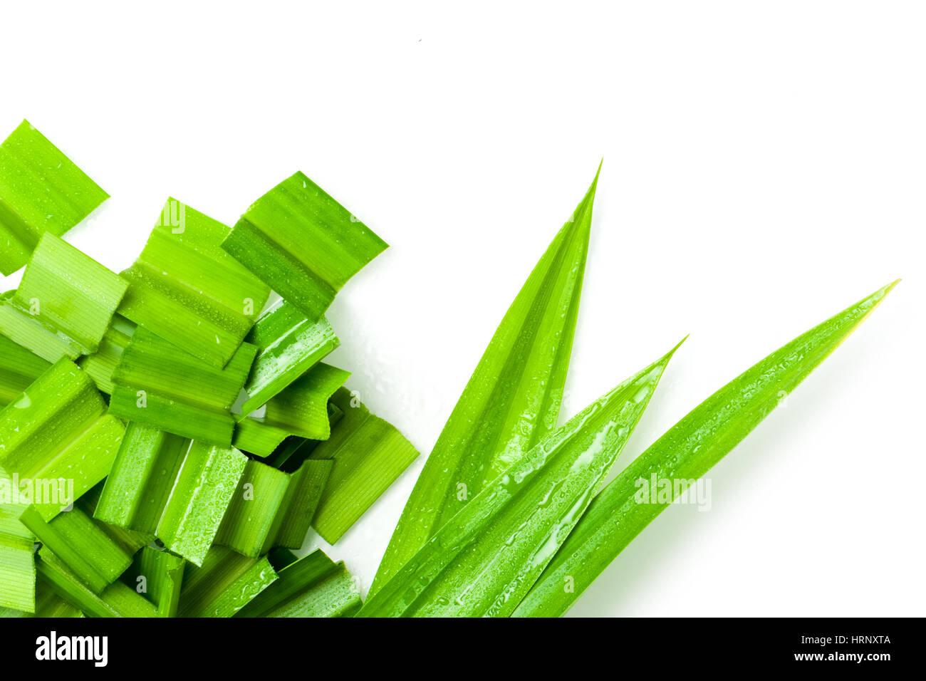 closeup green fresh Pandan leaves, Thai herbal Stock Photo - Alamy