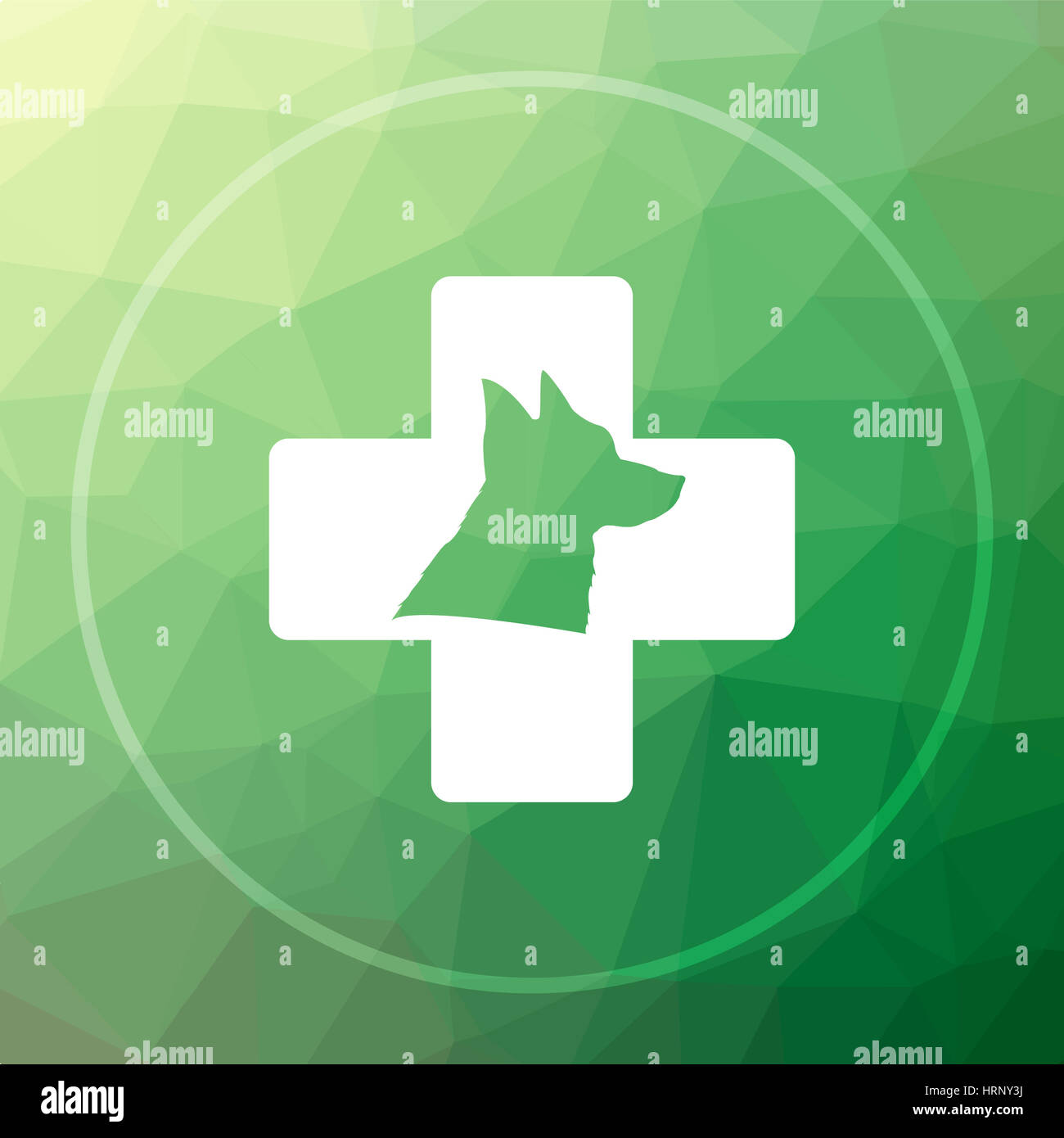 Veterinary icon. Veterinary website button on green low poly background ...