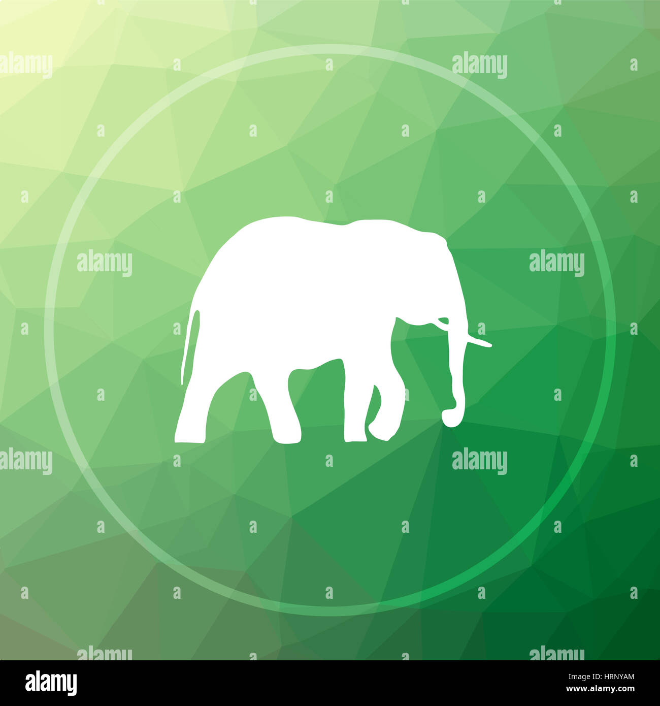 Elephant icon. Elephant website button on green low poly background ...