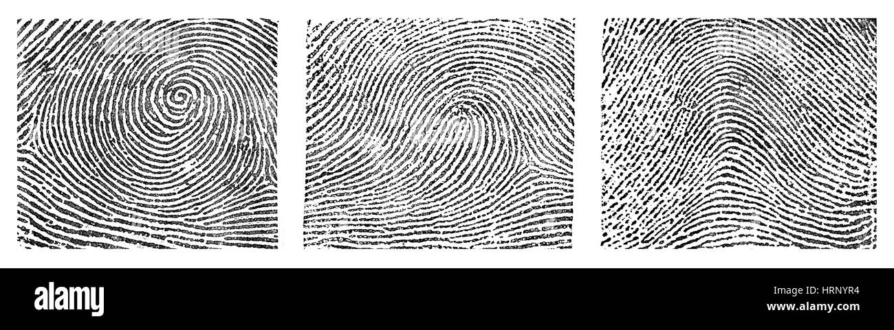 Loop arch hi-res stock photography and images - Alamy