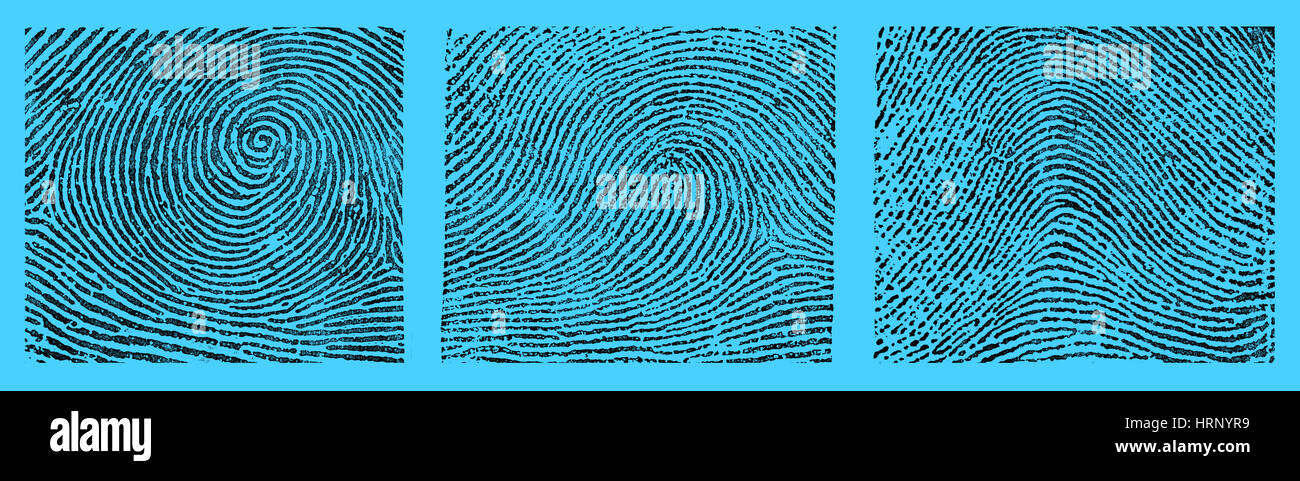 Fingerprint Types 17th Century Large Framed Photo Types 19th fingerprint-types-17th-century-large-framed-photo-types-19th