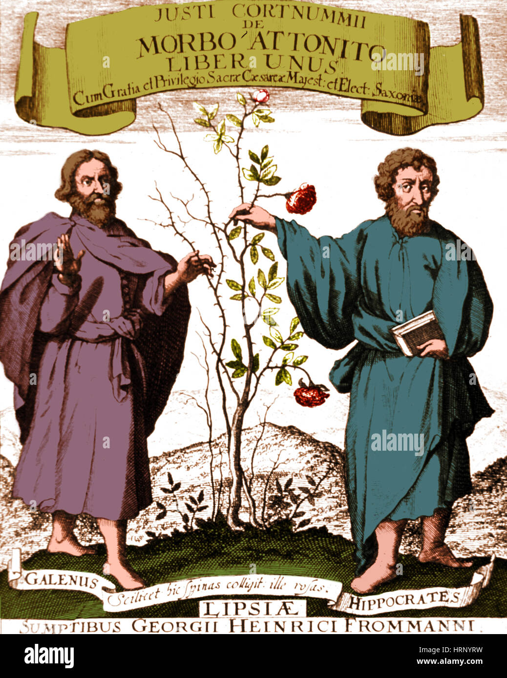 Galenus hippocrates hi-res stock photography and images - Alamy