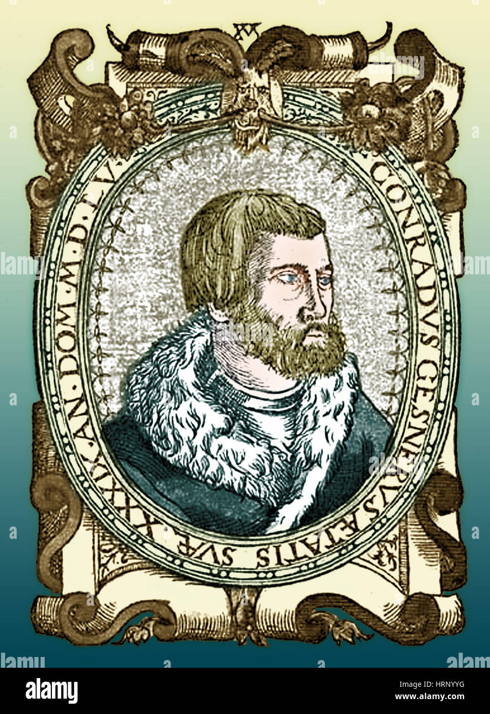 Conrad gesner hi-res stock photography and images - Alamy