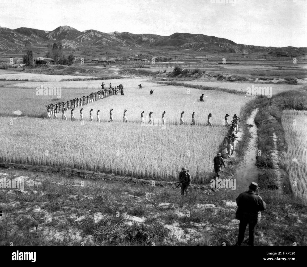 Korean War, North Korean POW's, 1950 Stock Photo - Alamy