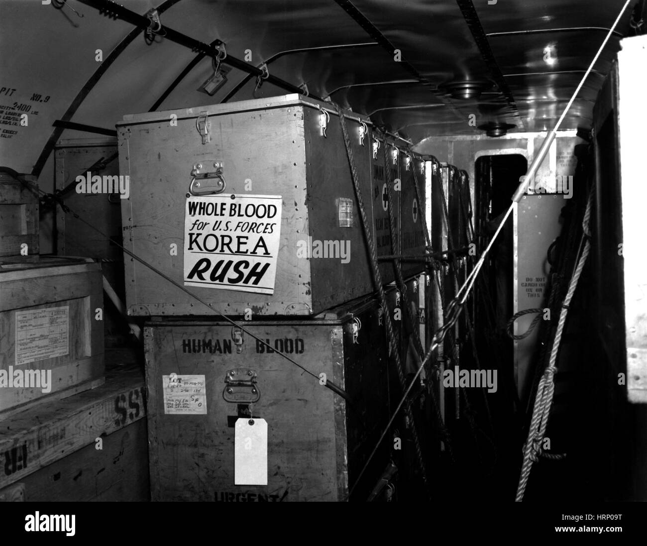 Blood collecting program hi-res stock photography and images - Alamy