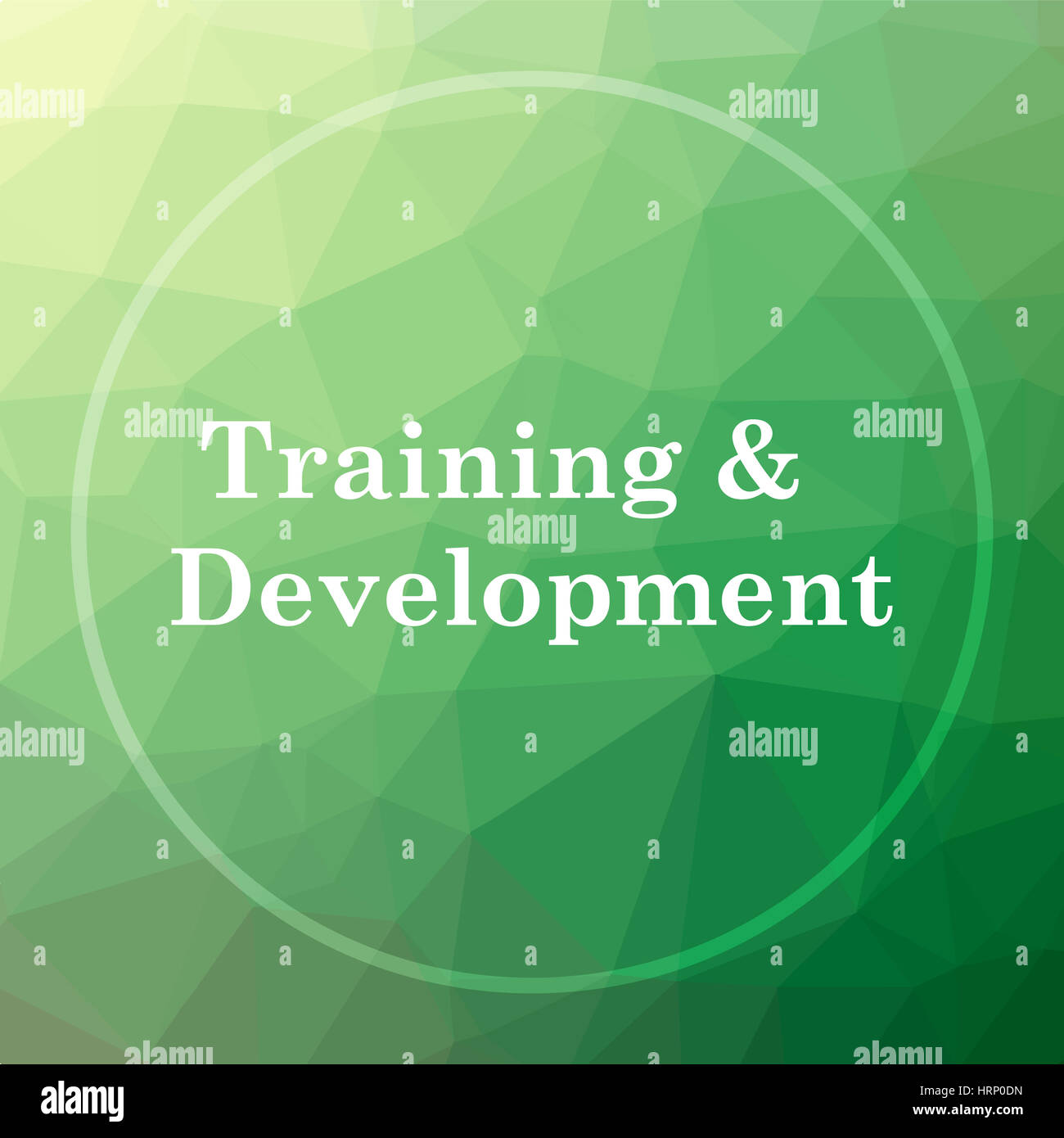 Training And Development Icon