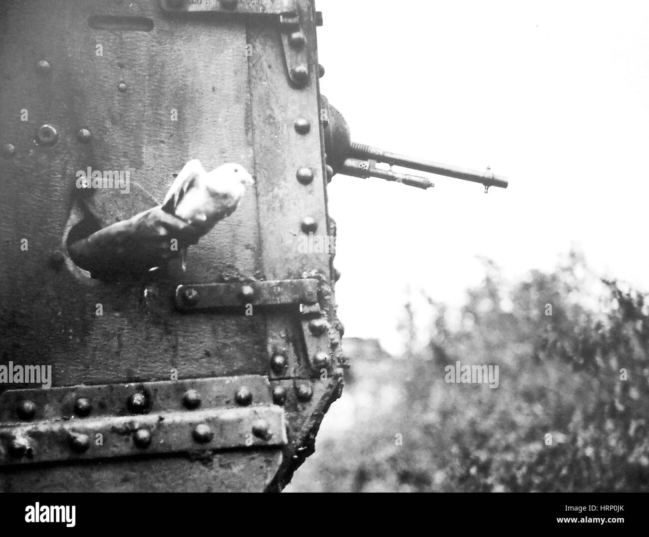 British trained hi-res stock photography and images - Alamy