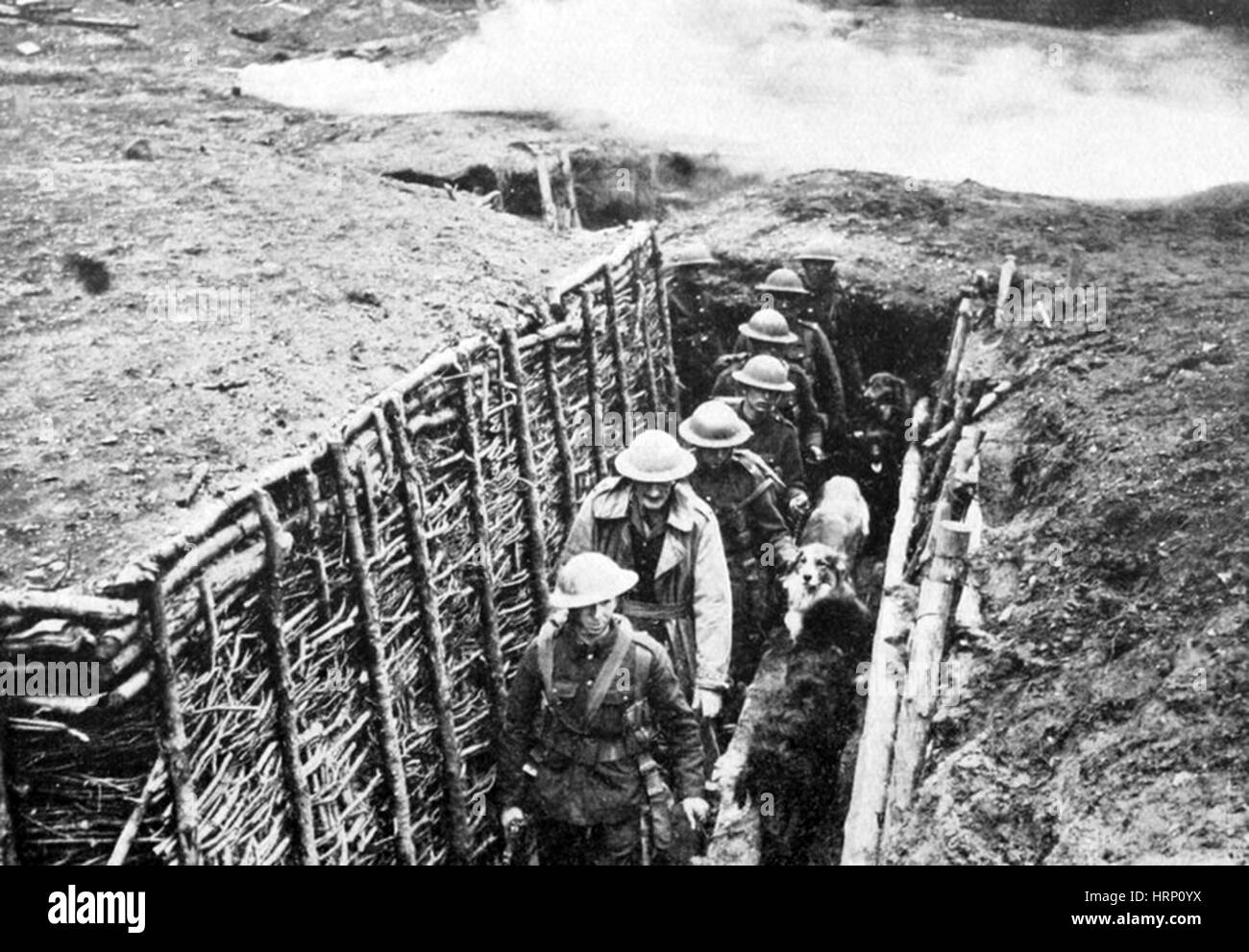 Army dog training Black and White Stock Photos & Images - Alamy