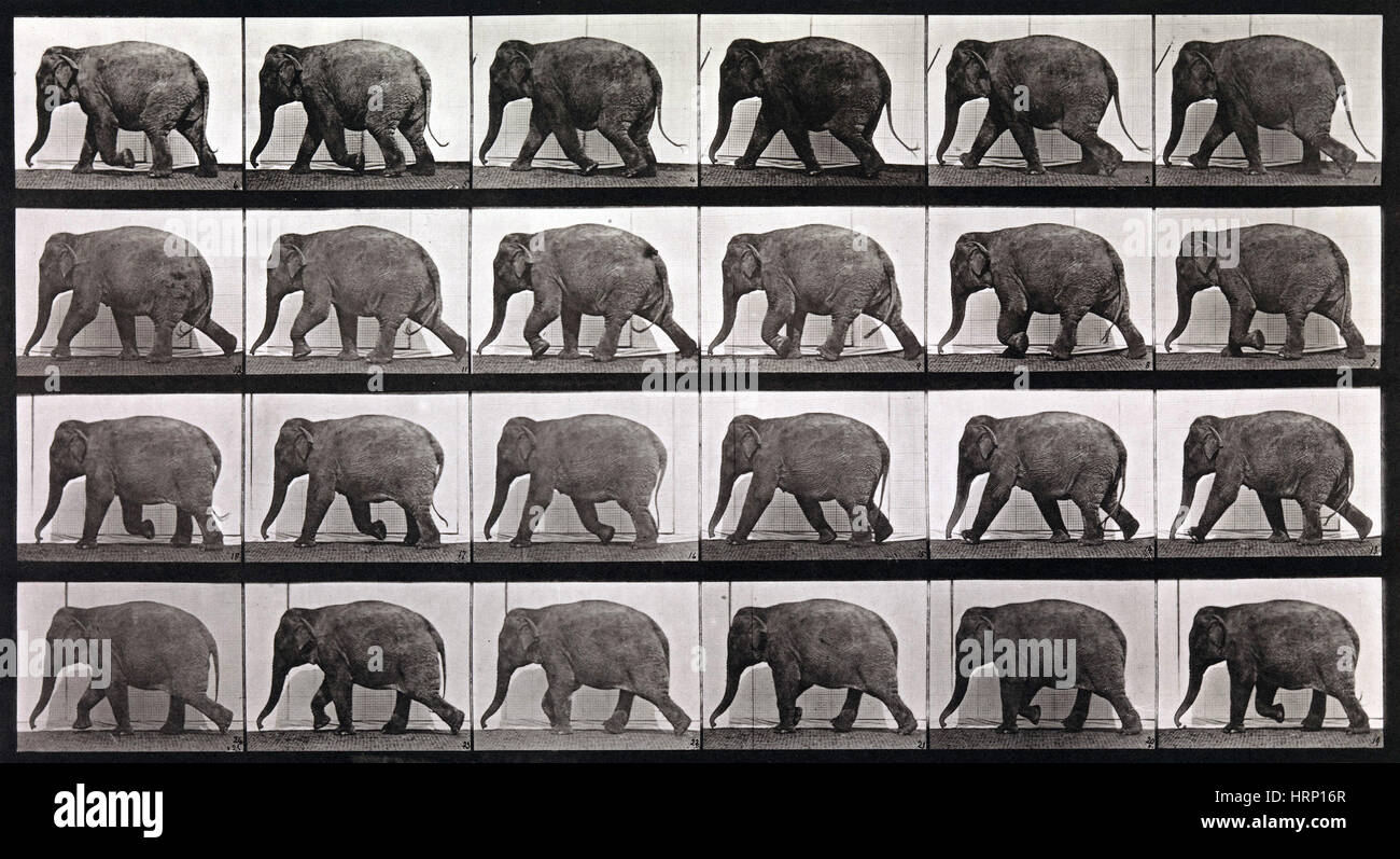 Locomotion hi-res stock photography and images - Alamy