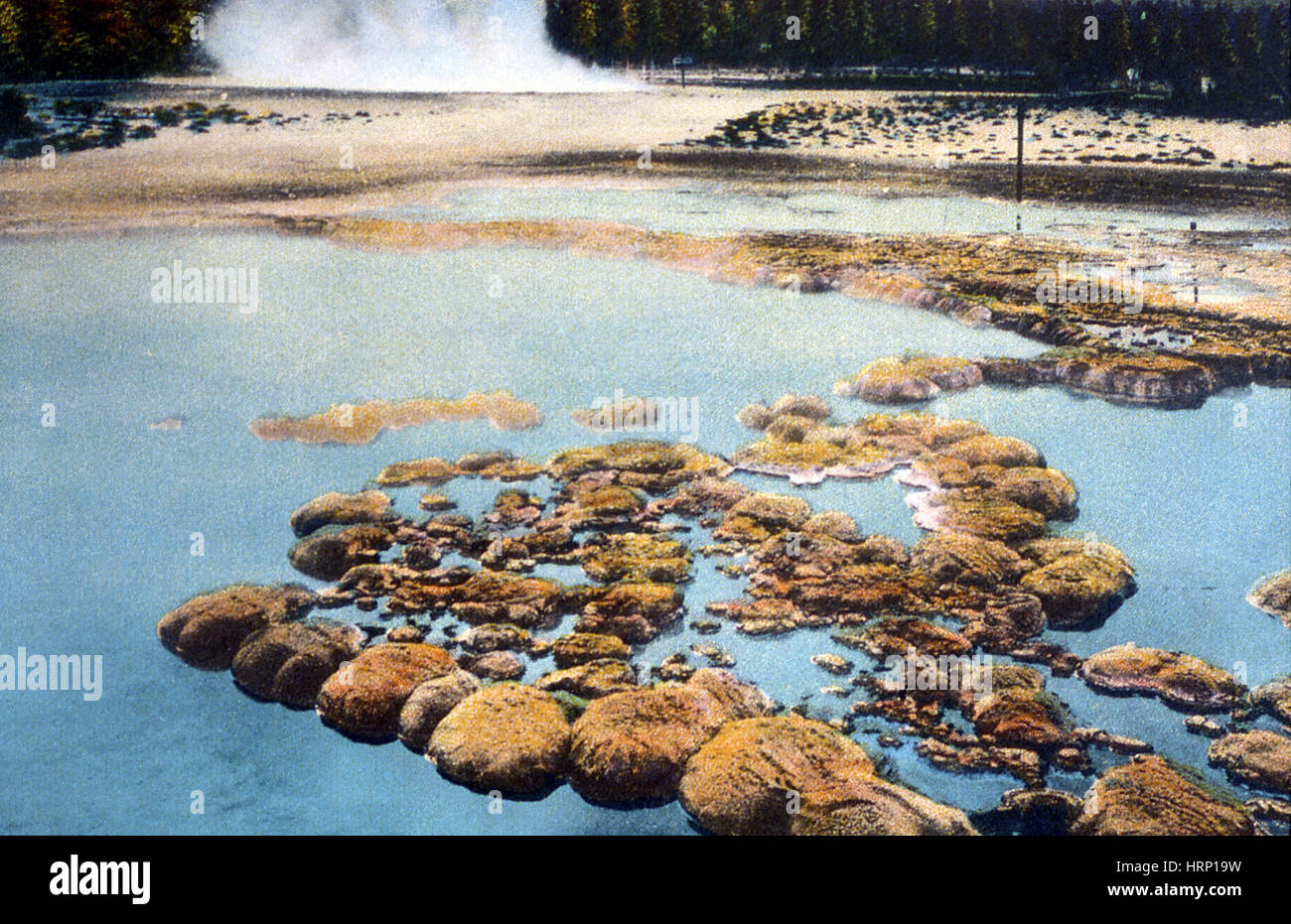 Biscuit Basin, Yellowstone NP, 1928 Stock Photo - Alamy