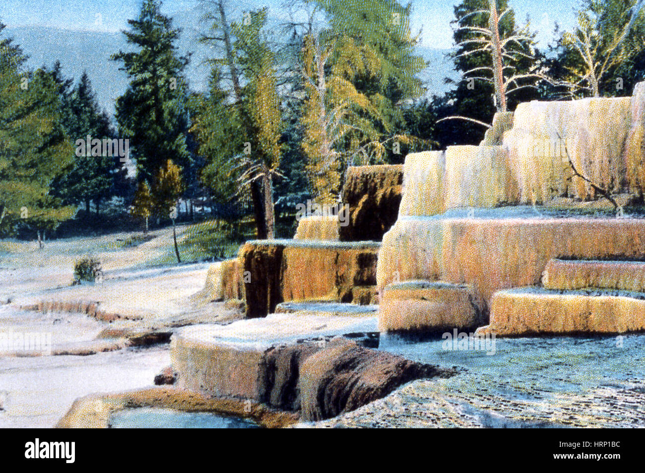 Angel Terrace, Yellowstone NP, 20th Century Stock Photo - Alamy