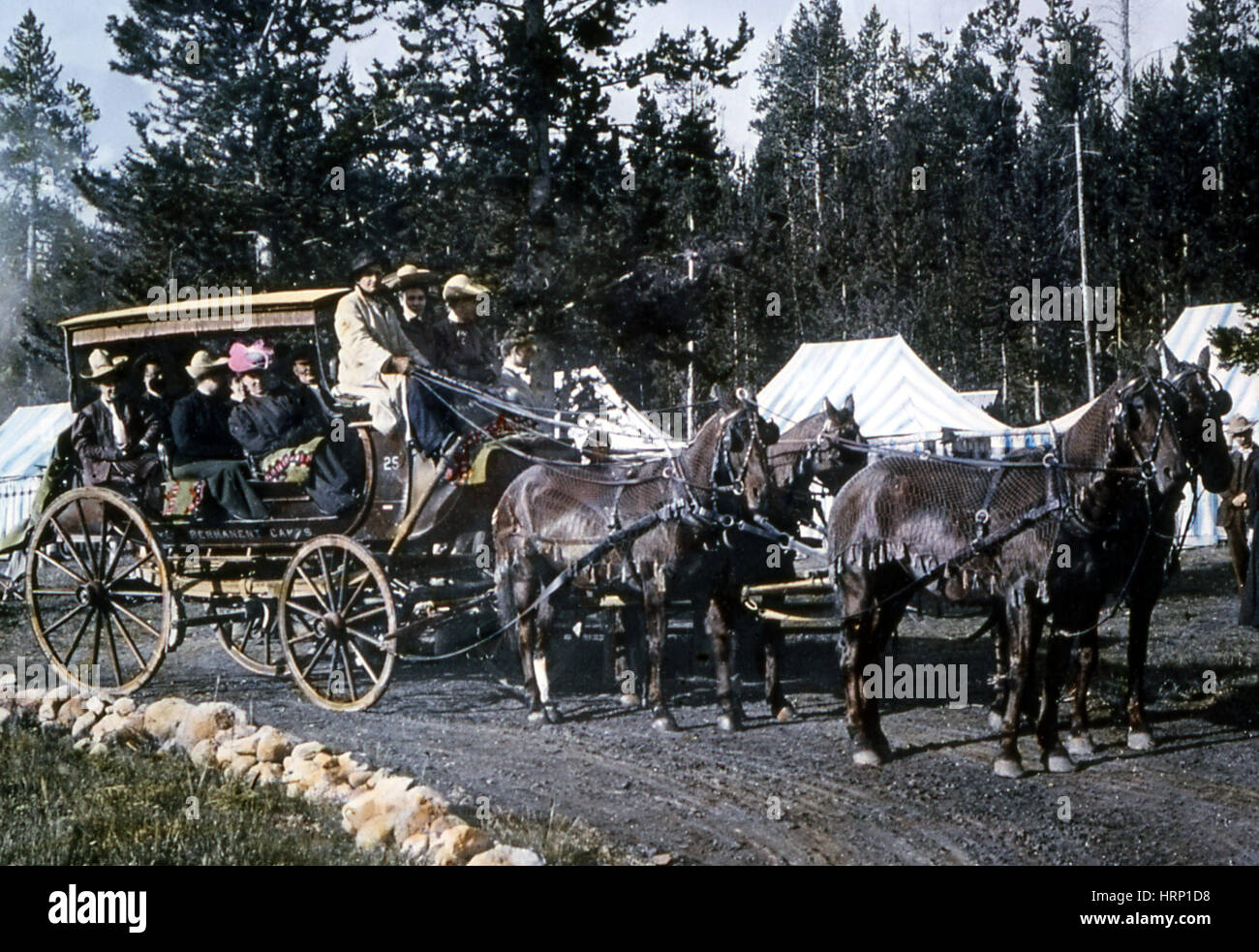Wylie Coach, Yellowstone NP, 1910 Stock Photo - Alamy