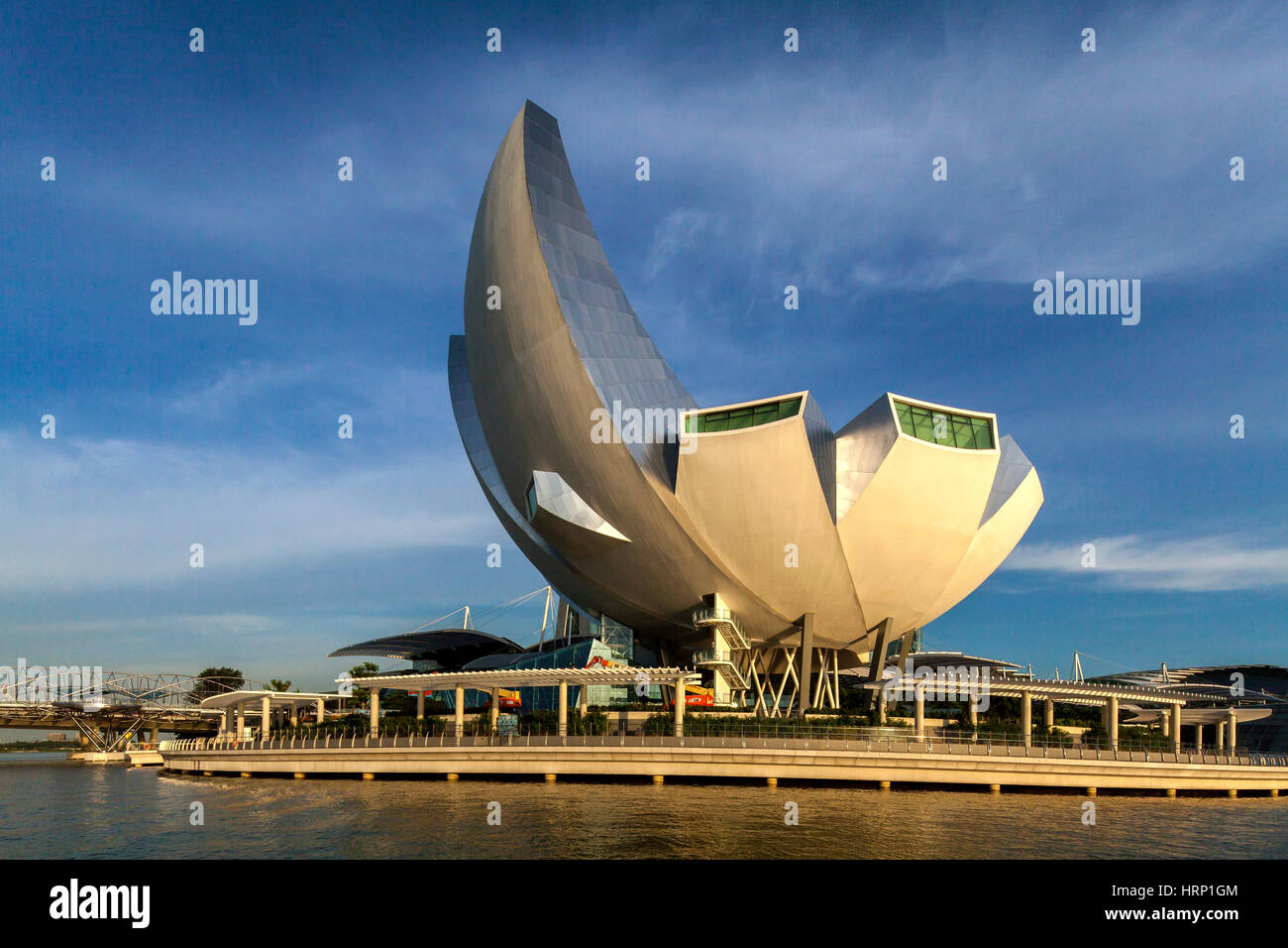 Artscience Museum Singapore Plan Orchid Suite In Marina Bay Sands