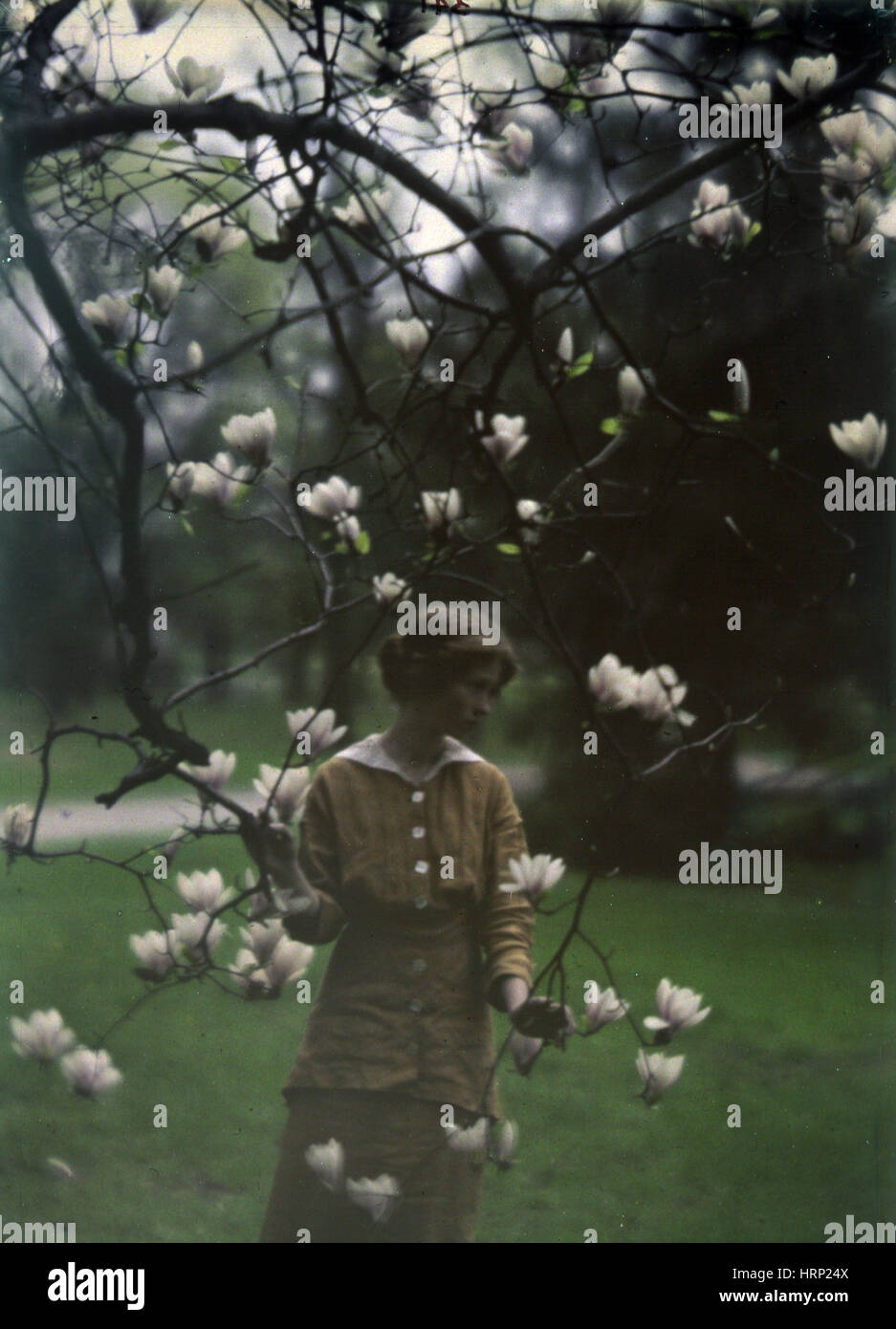 Edna st vincent millay hi-res stock photography and images - Alamy