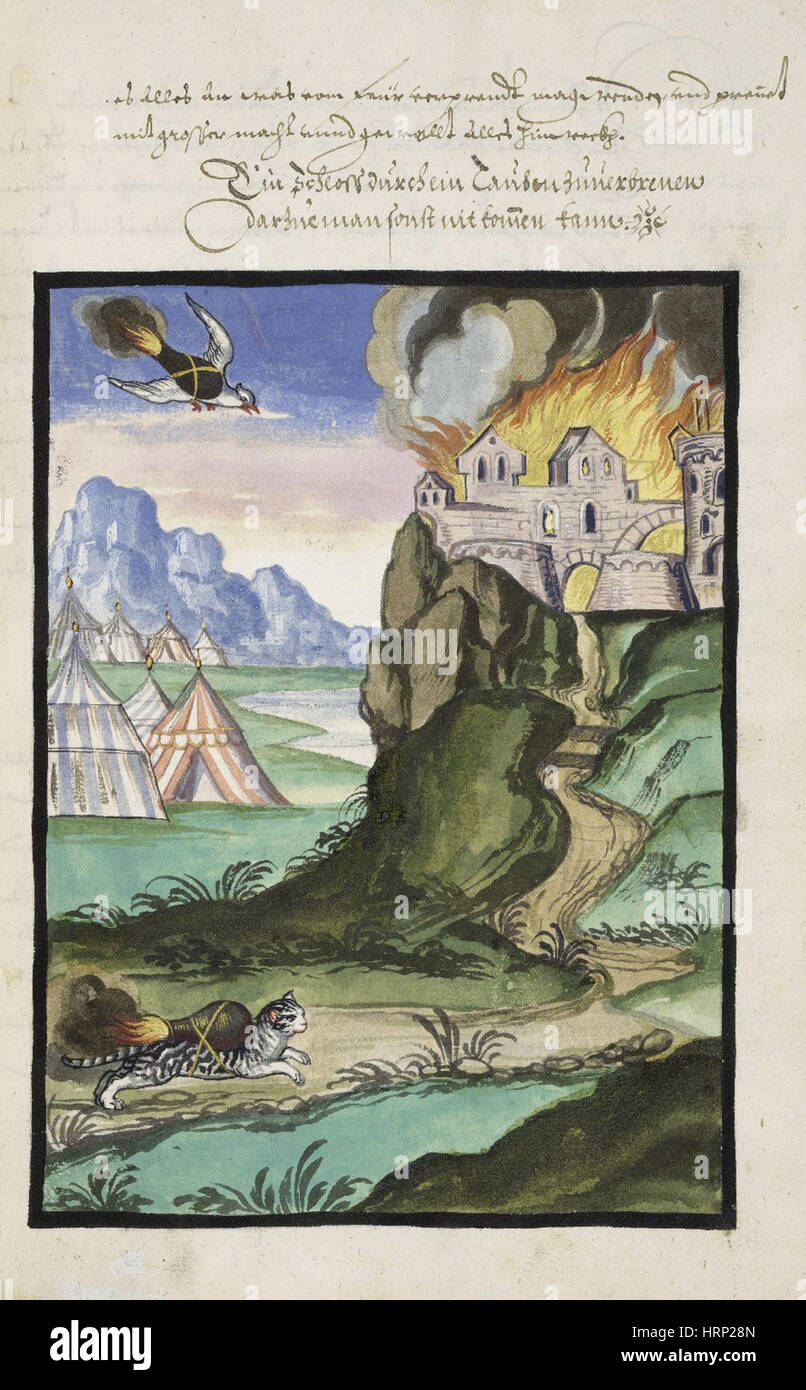 Medieval cat art illustration hi-res stock photography and images - Alamy