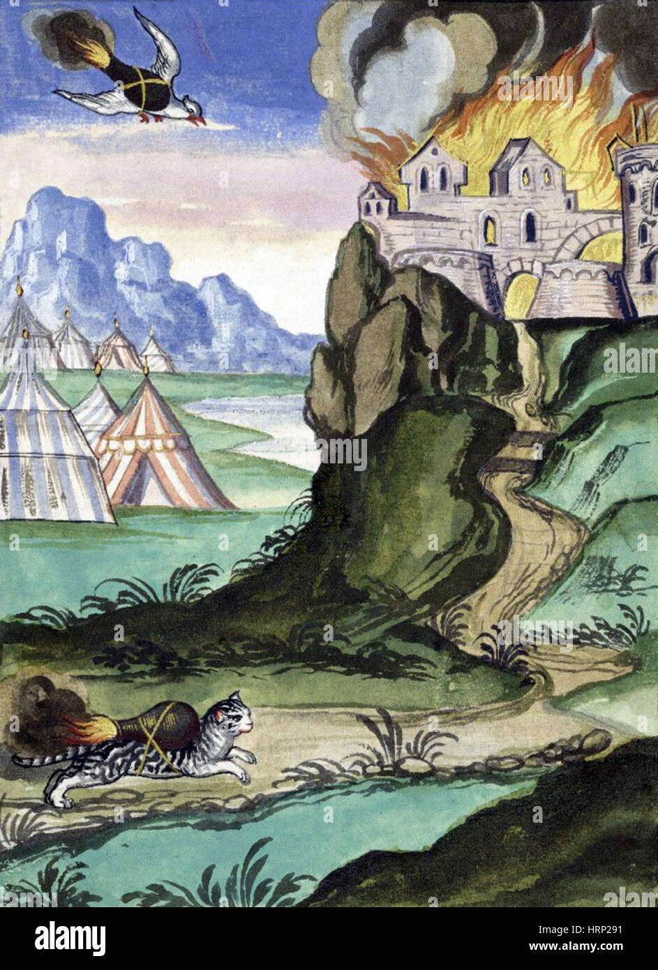 Medieval cat art illustration hi-res stock photography and images - Alamy