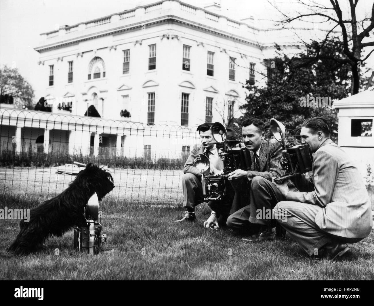 1942 hi-res stock photography and images - Alamy