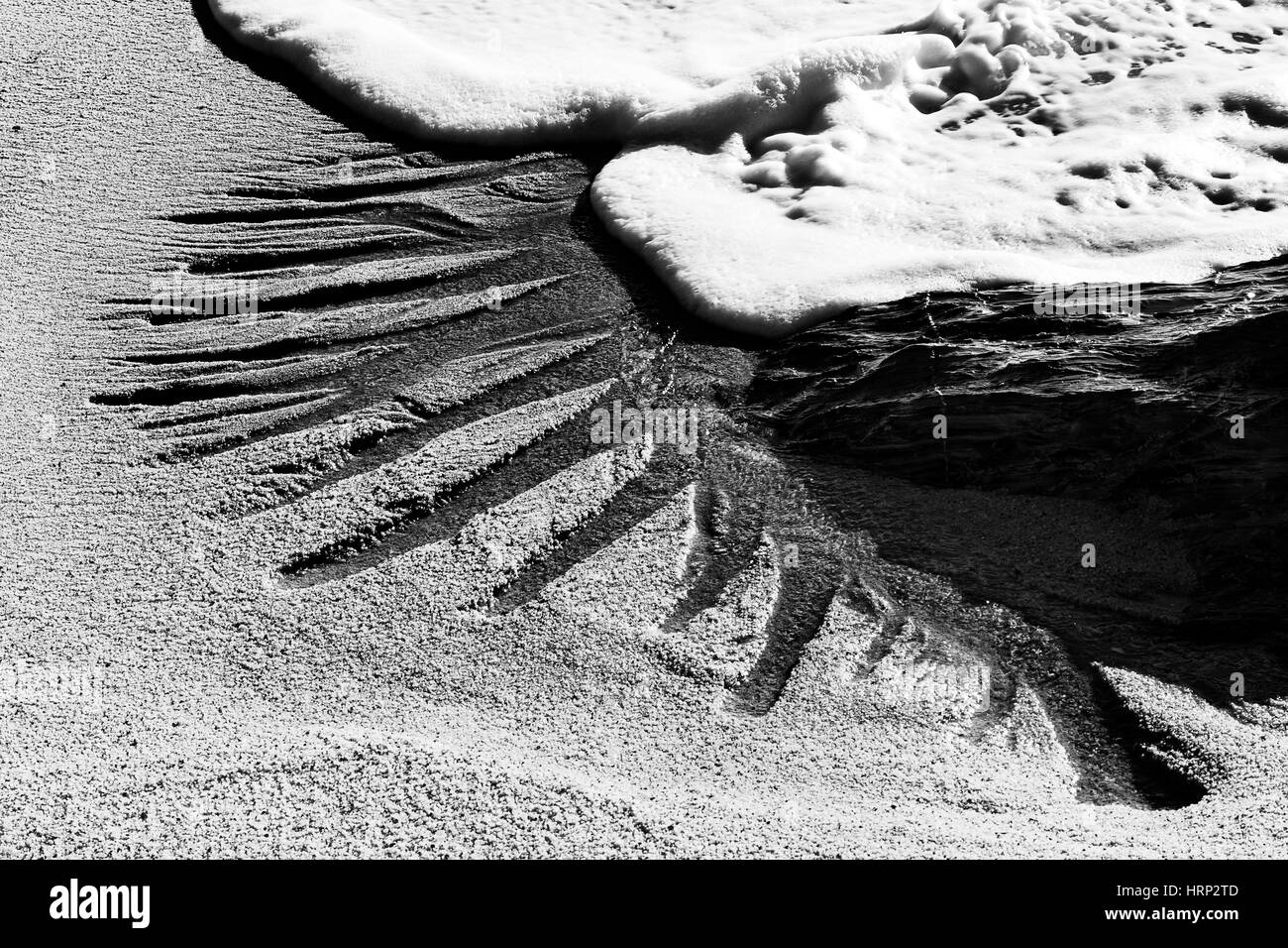 The water carves gullies into the sand which form intricate patterns ...