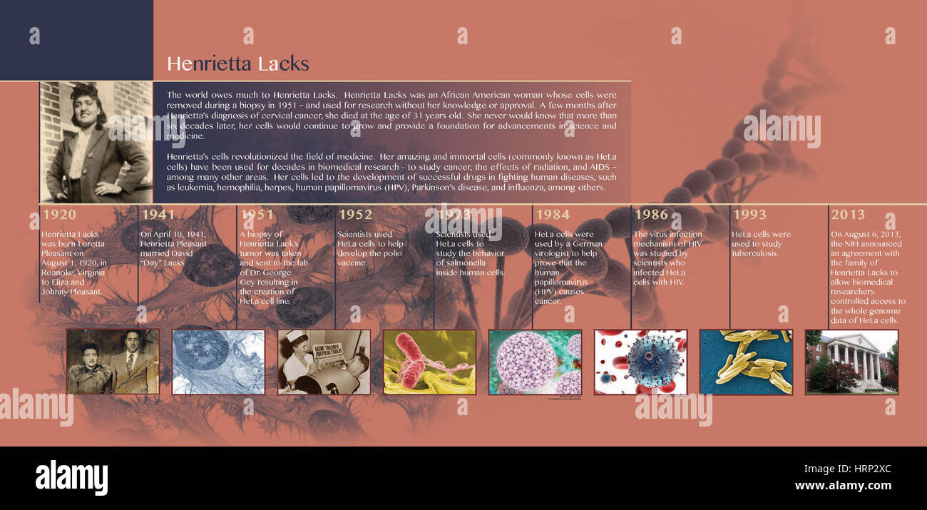 African history timeline hi-res stock photography and images - Alamy