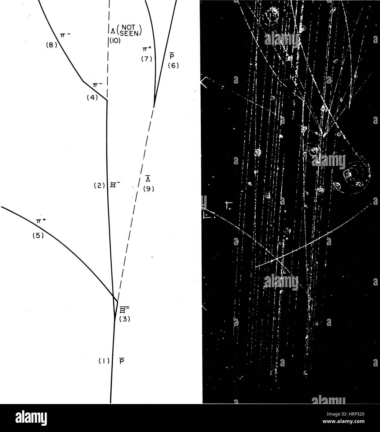 Subatomic Particles Collision