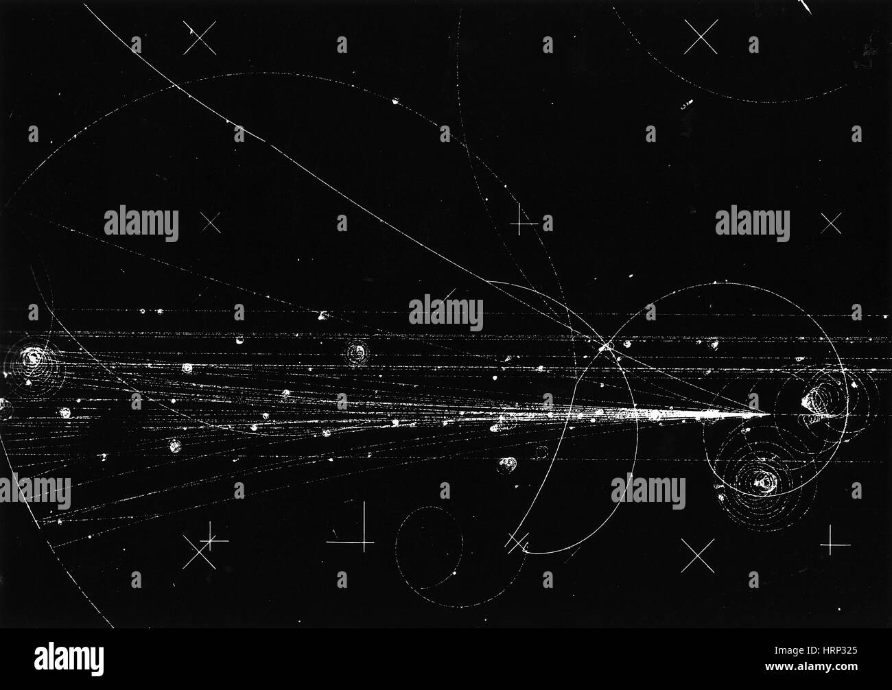 Bubble Chamber Physics