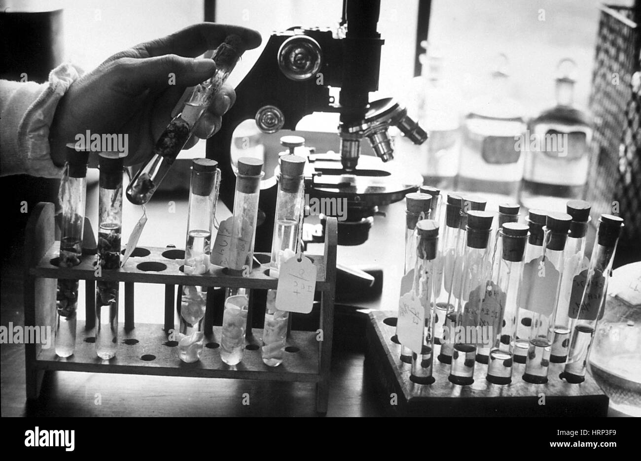 1930s national cancer institute hi-res stock photography and images - Alamy