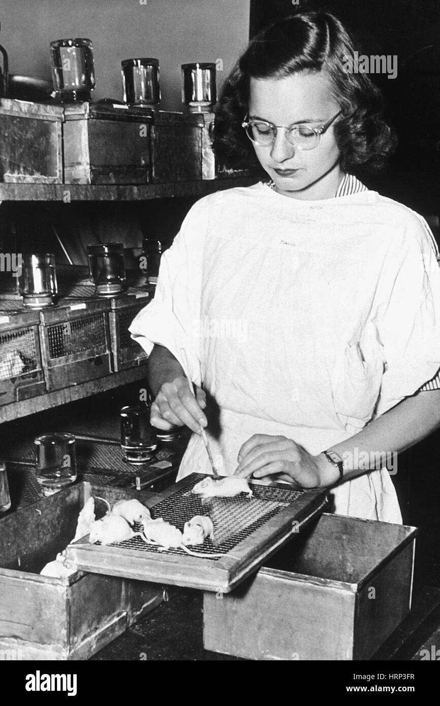 Chemical research Black and White Stock Photos & Images - Alamy