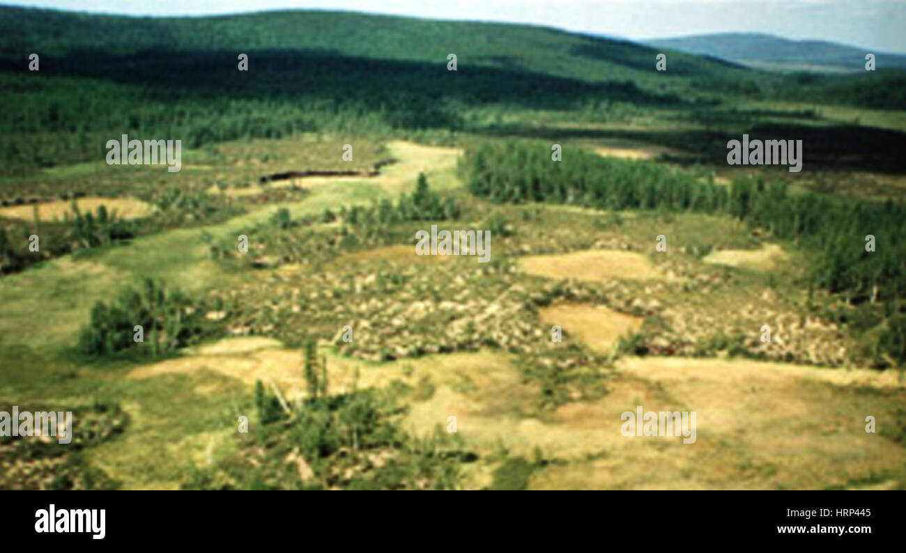 Tunguska Event Site Stock Photo - Alamy
