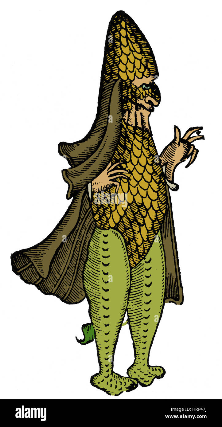 Sea Bishop, Legendary Monster, 16th Century Stock Photo - Alamy