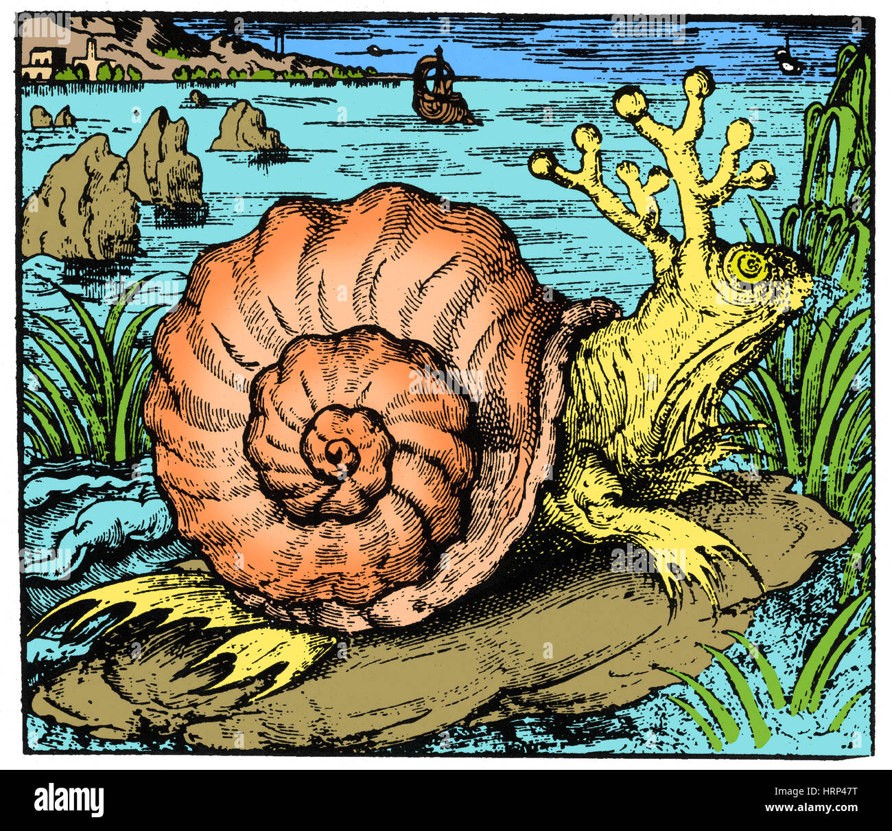 Mythological sea creature hi-res stock photography and images - Alamy