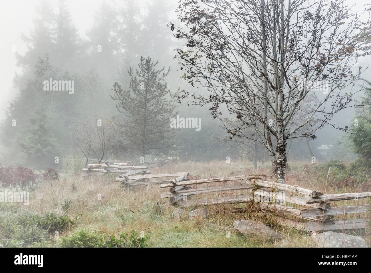 Fence disappearing into fog hi-res stock photography and images - Alamy
