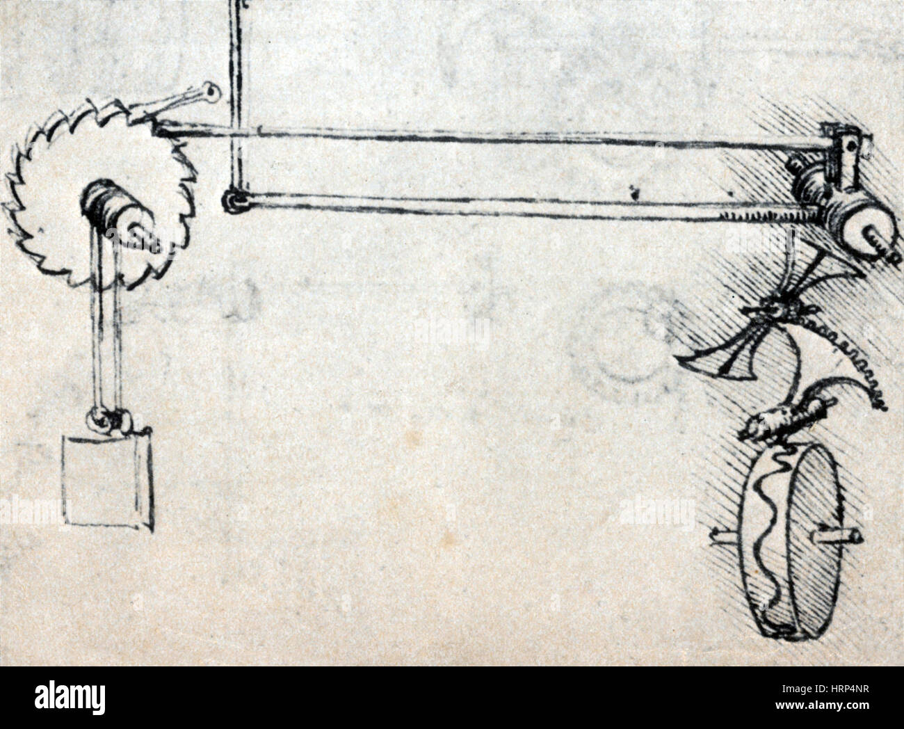 Leonardo da vinci drawing fly hi-res stock photography and images - Alamy