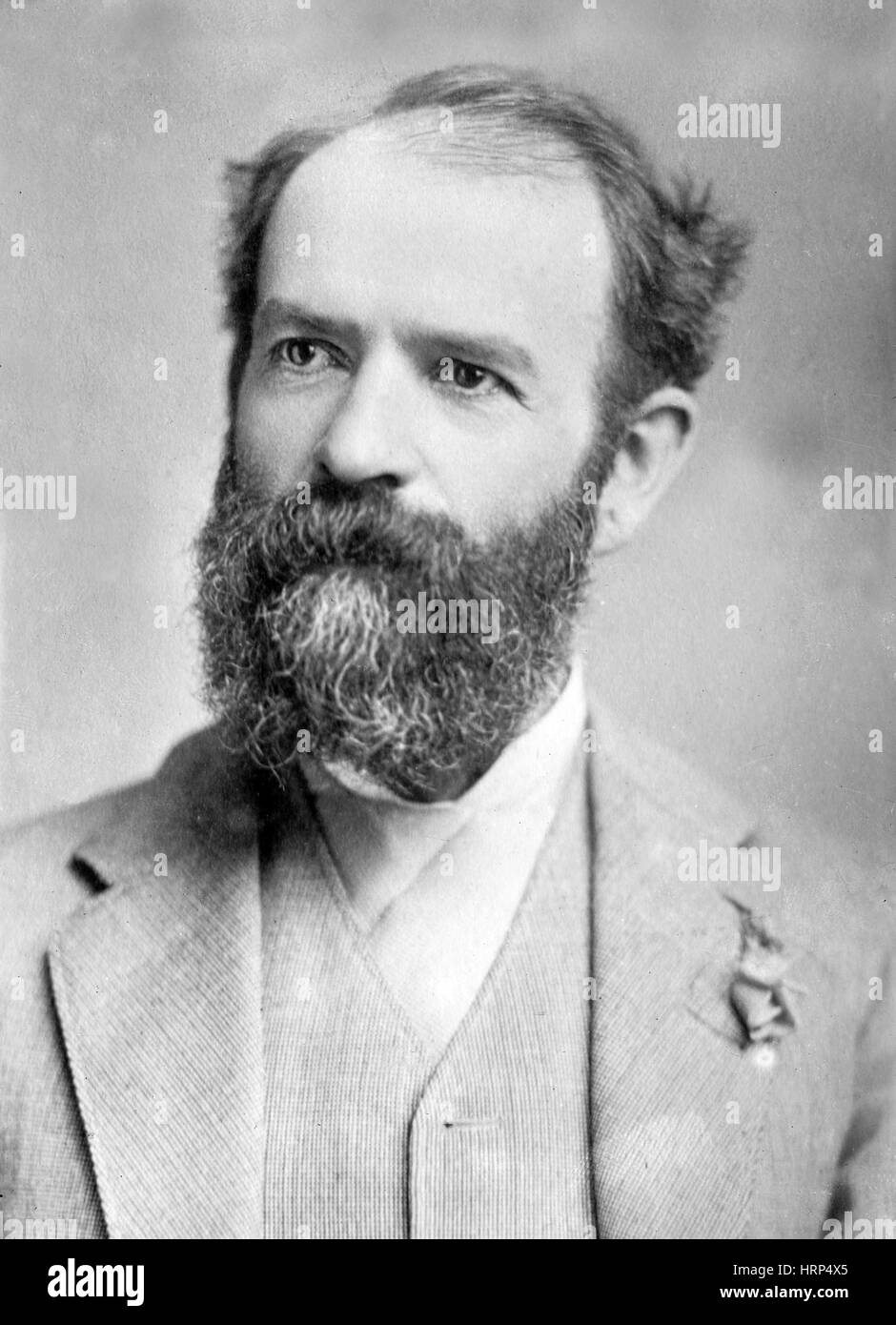 Photo developer Black and White Stock Photos & Images - Alamy