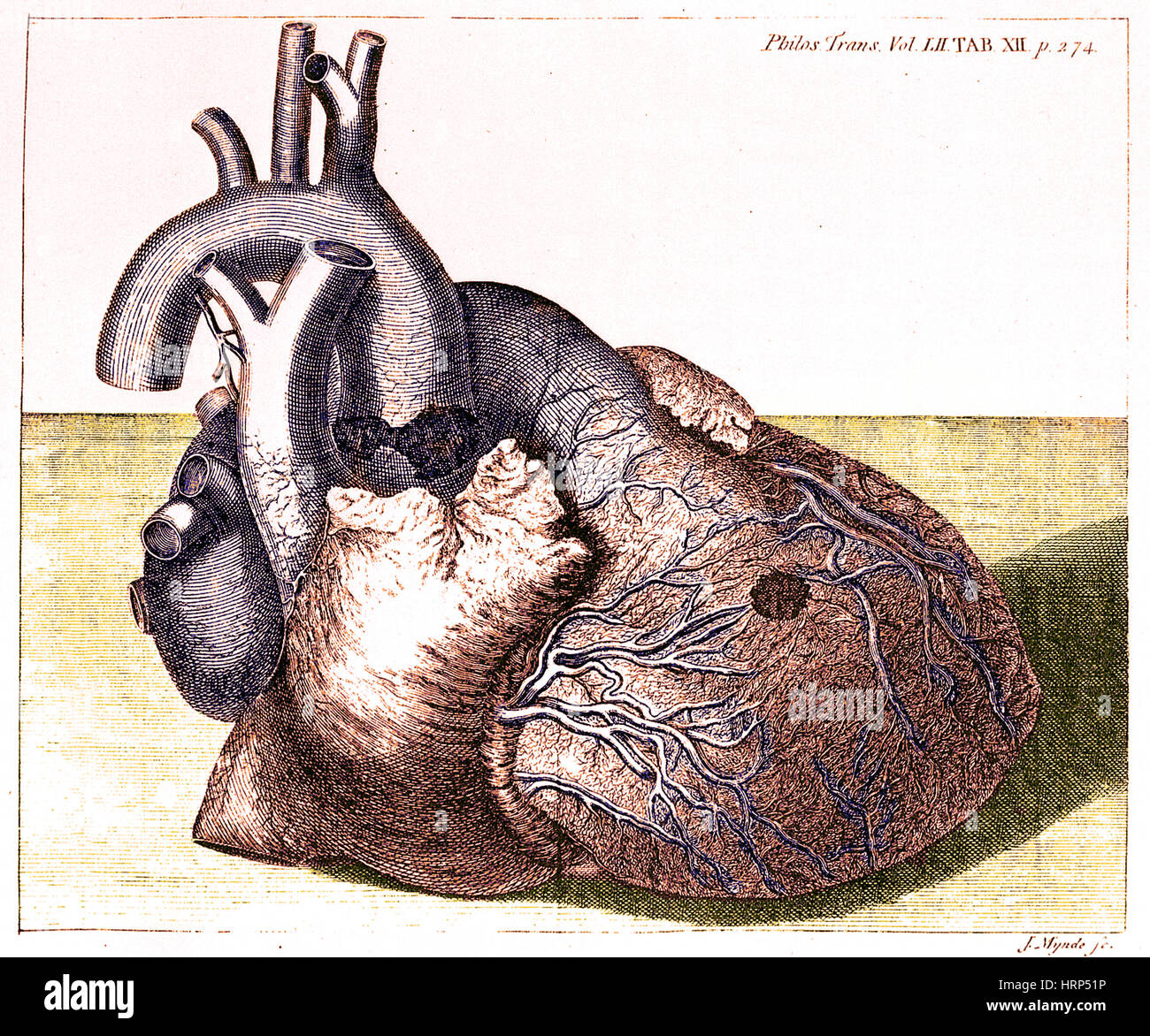 Damaged Heart of George II, 1761 Stock Photo - Alamy