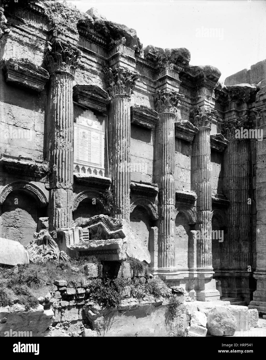 Bacchus Black and White Stock Photos & Images - Alamy